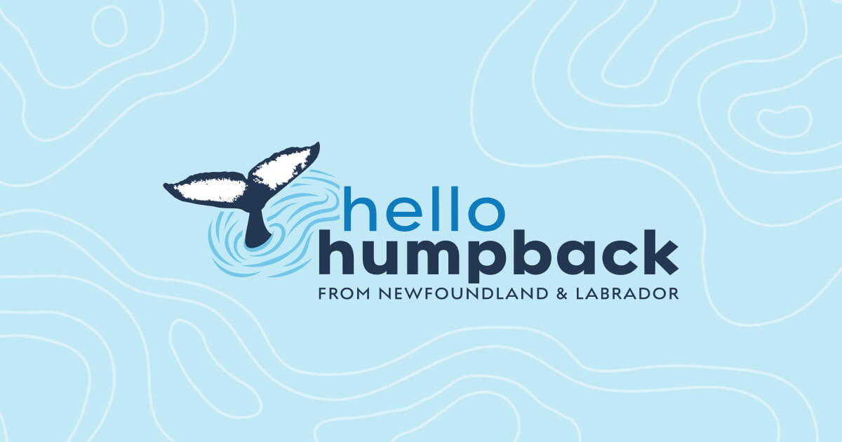 Hello Humpback | Newfoundland and Labrador Tourism