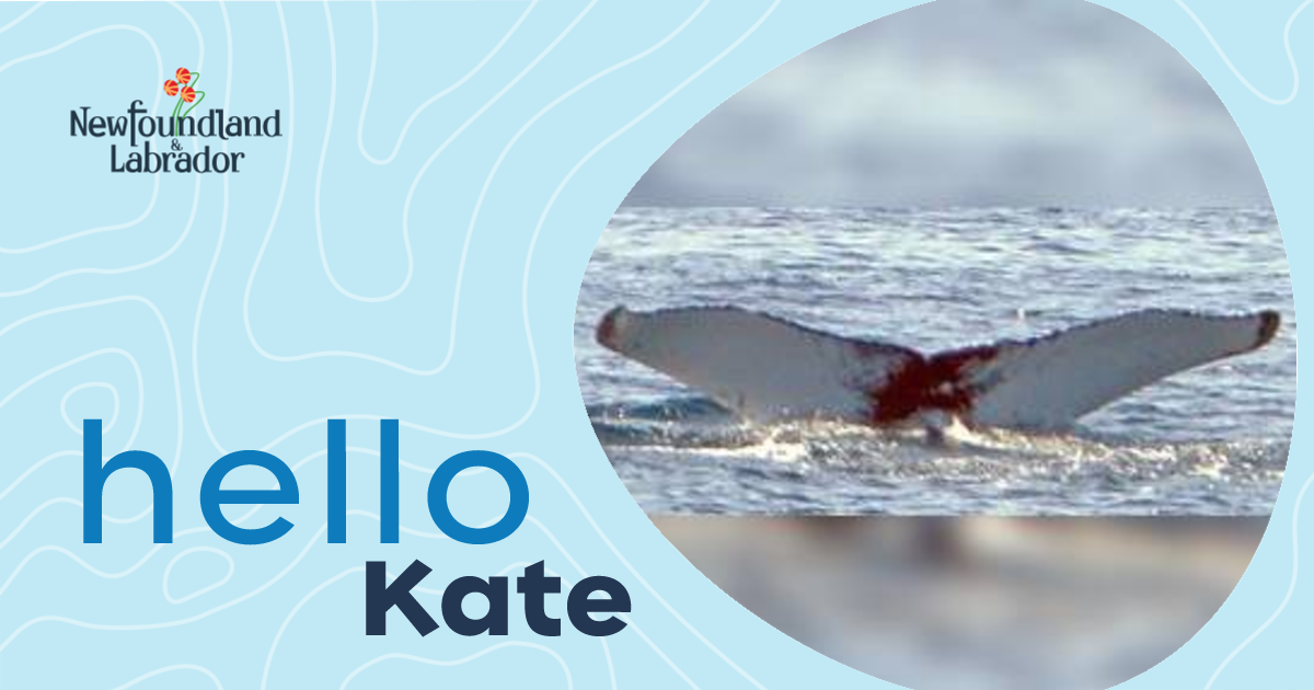 Read Kate's Story | Newfoundland and Labrador
