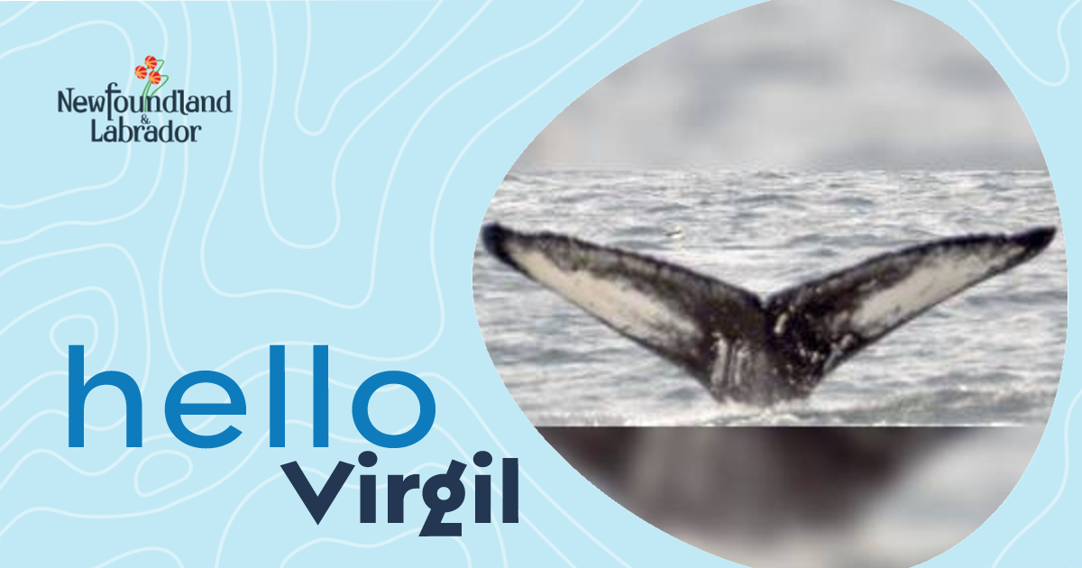 Read Virgil's Story | Newfoundland and Labrador